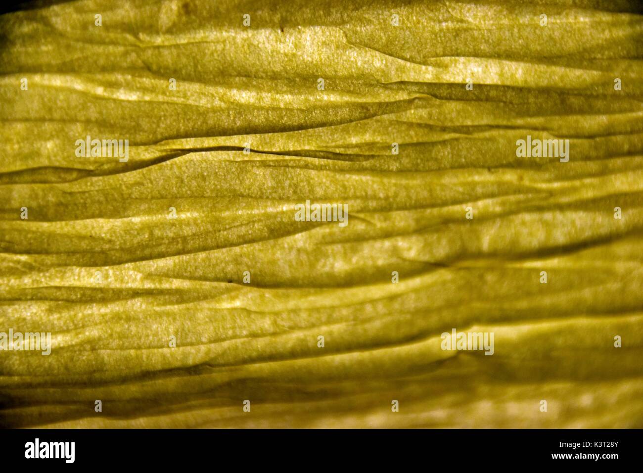 Lampshading High Resolution Stock Photography and Images - Alamy