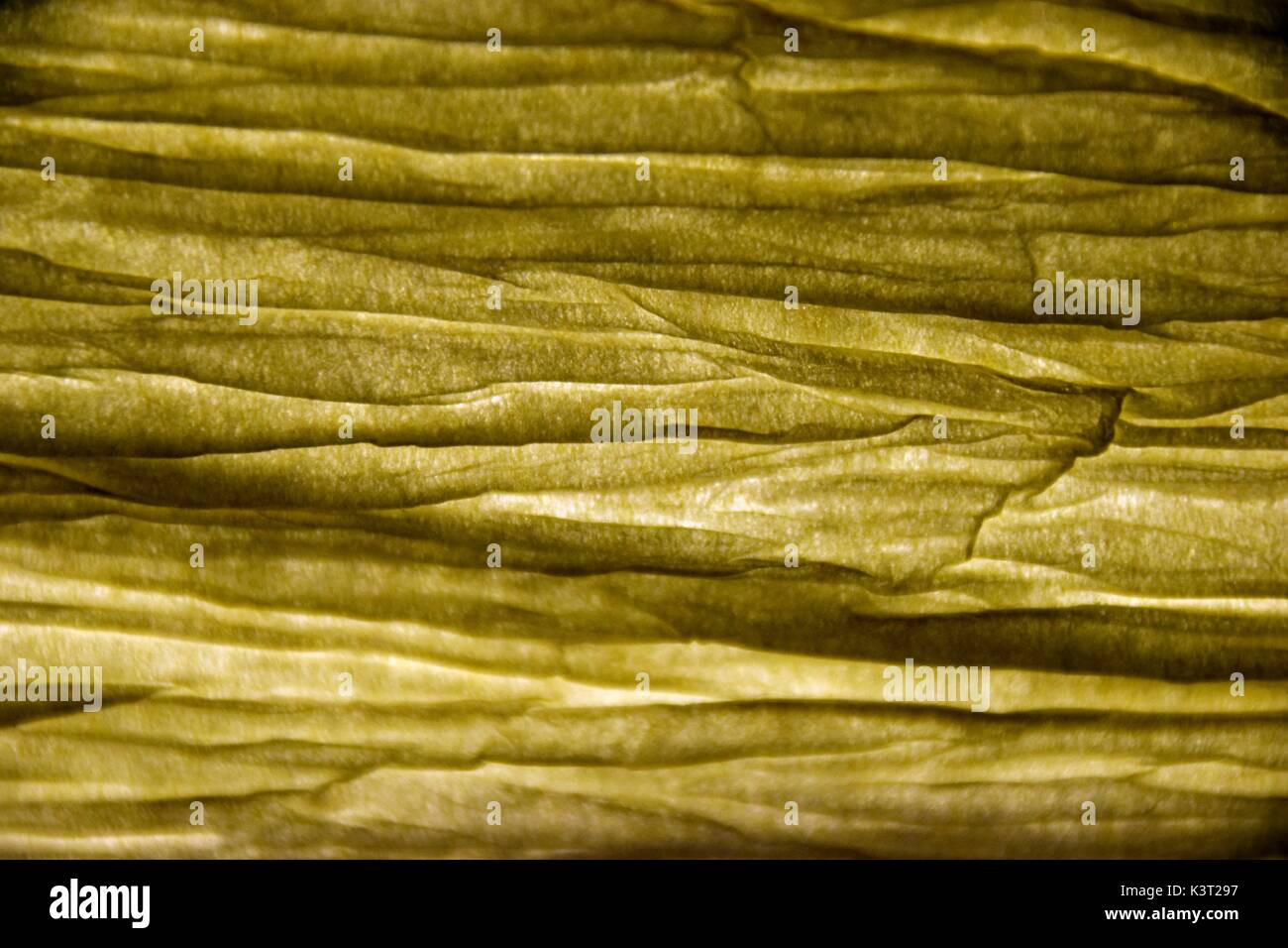Lampshading hi-res stock photography and images - Alamy