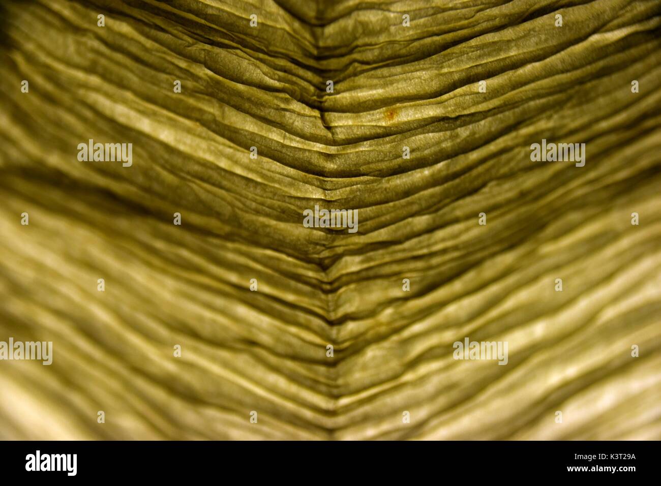 Lampshading hi-res stock photography and images - Alamy