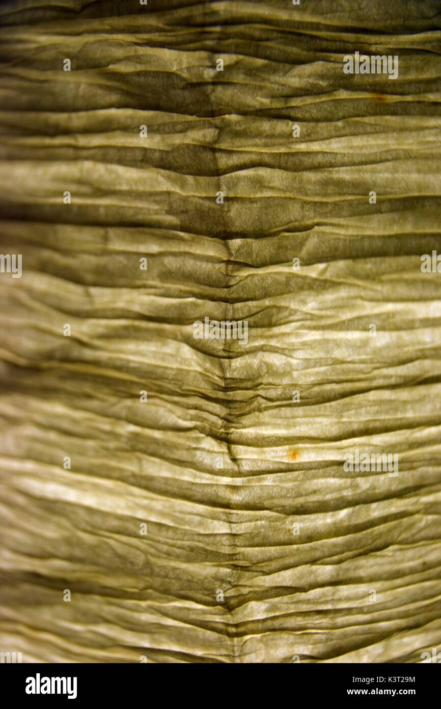 translucent lampshade, lampshades, lighted lampshade, opaque, directing ...