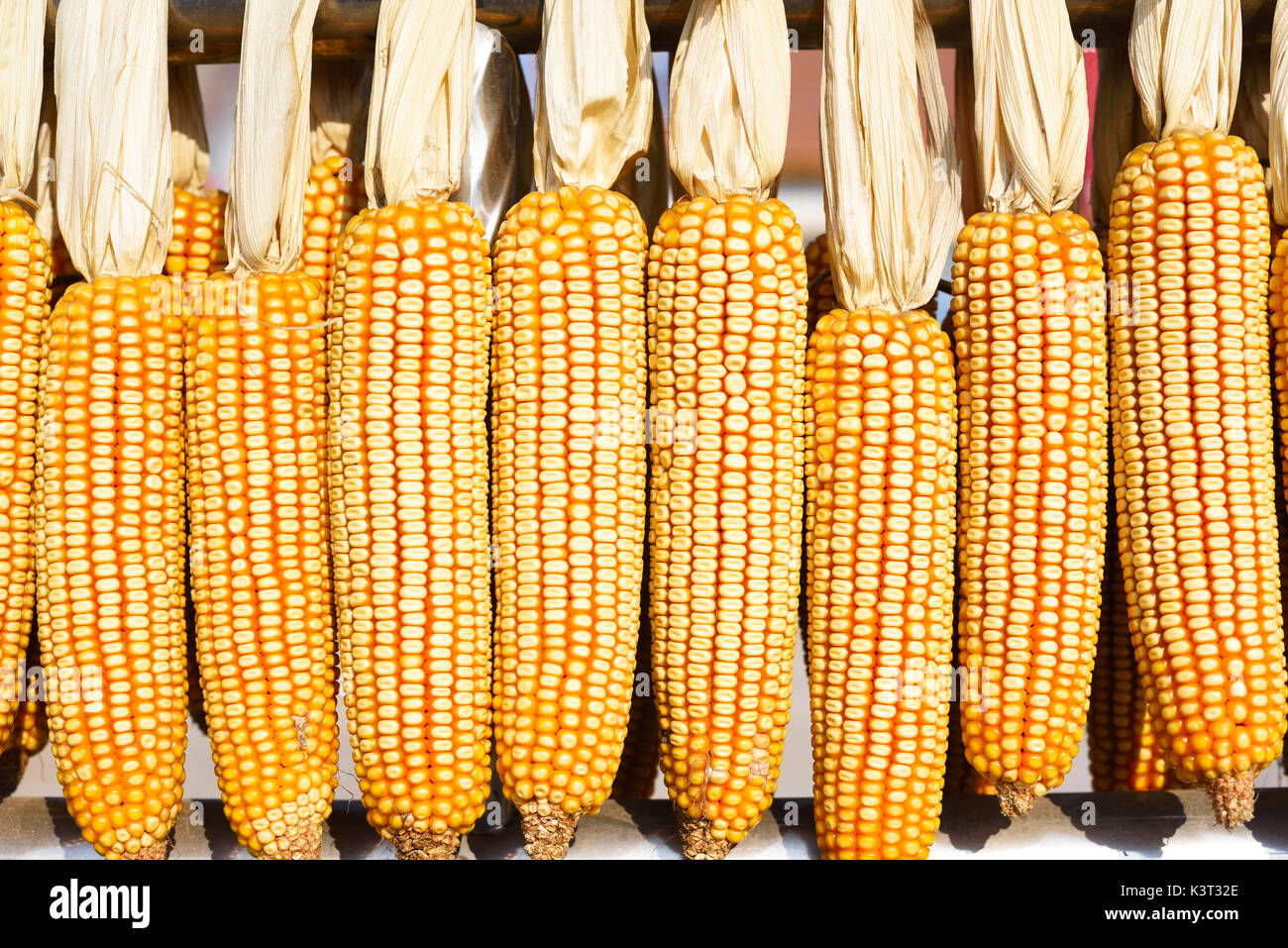 A pile of corn under the sun Stock Photo - Alamy