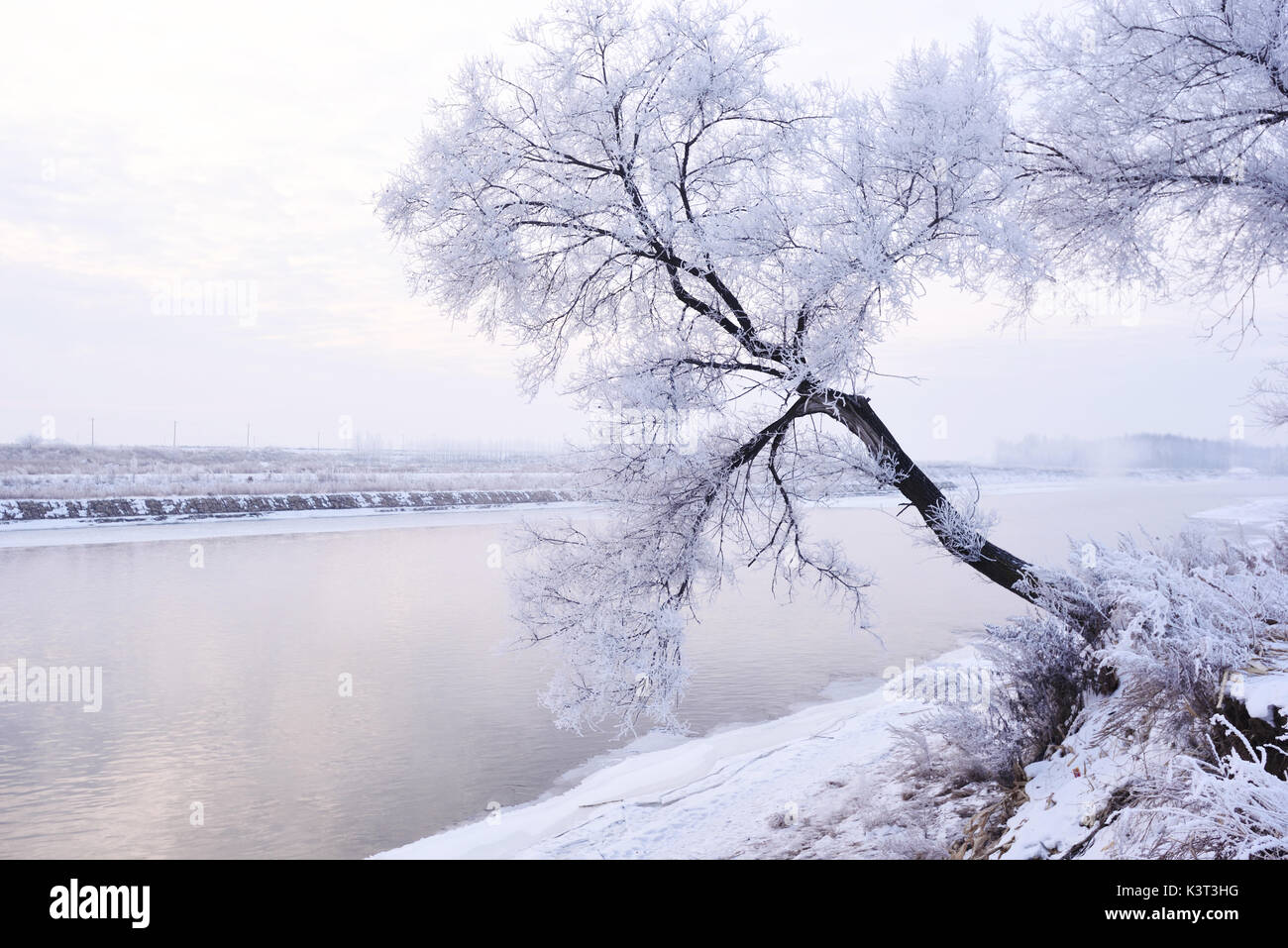 Jilin rime island hi-res stock photography and images - Alamy