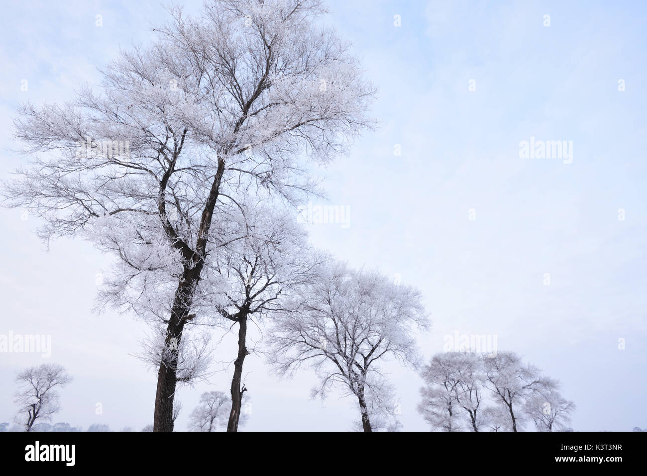 Jilin rime island hi-res stock photography and images - Alamy