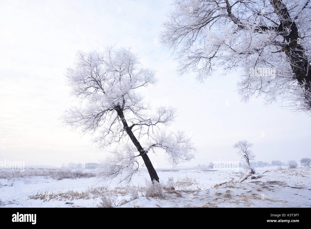 Jilin rime island hi-res stock photography and images - Alamy