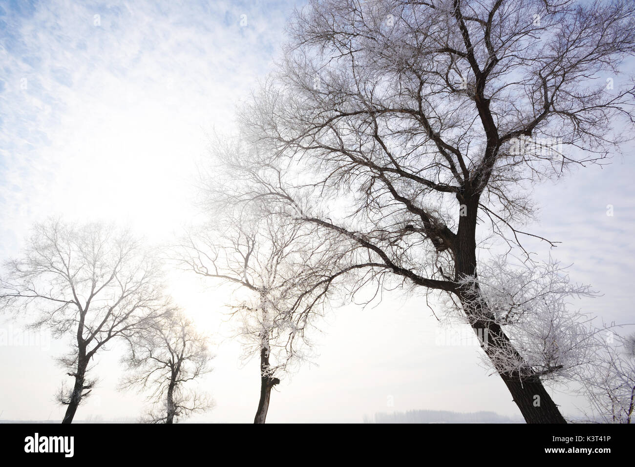 Jilin rime island hi-res stock photography and images - Alamy