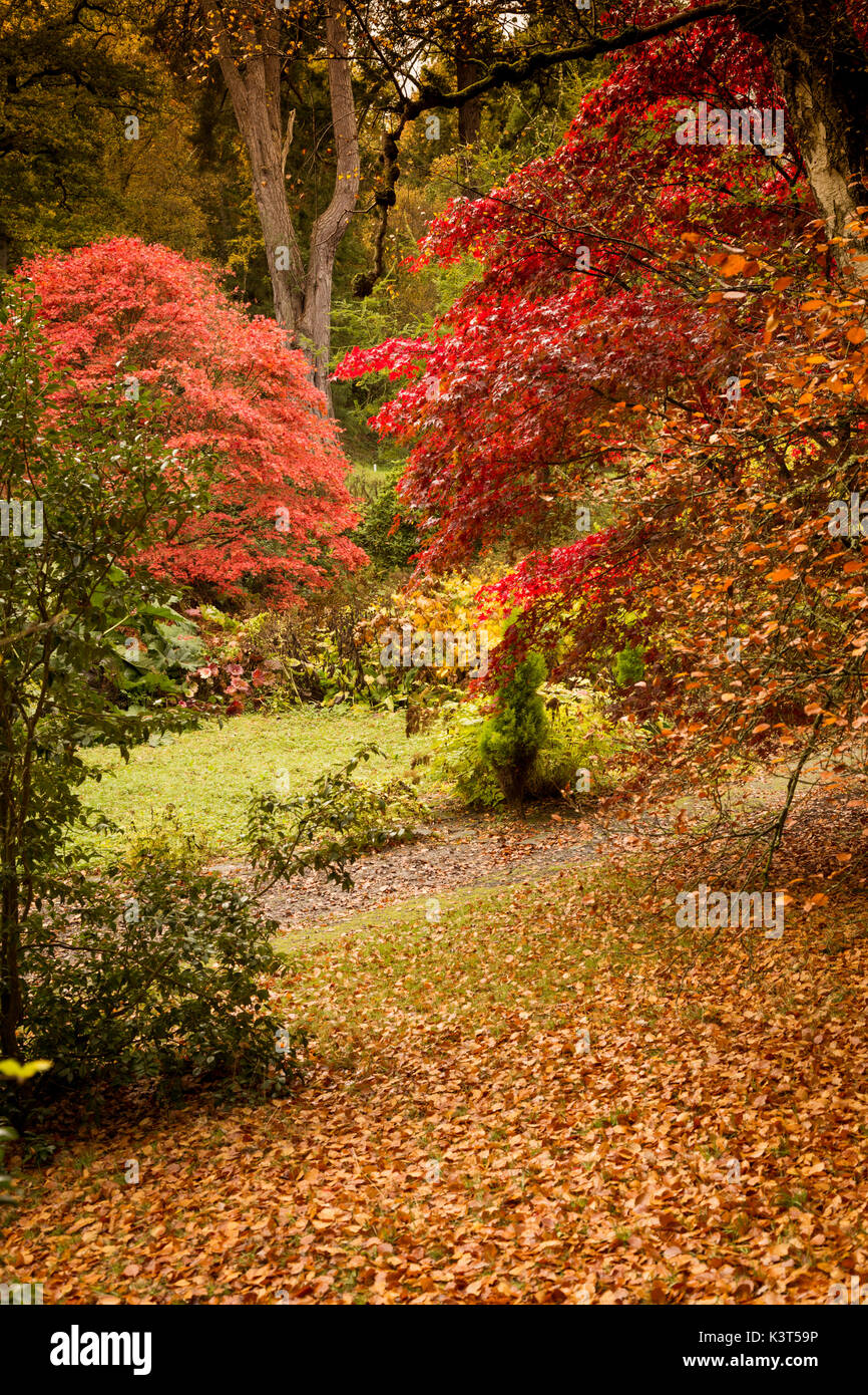 Gregynog hi-res stock photography and images - Alamy