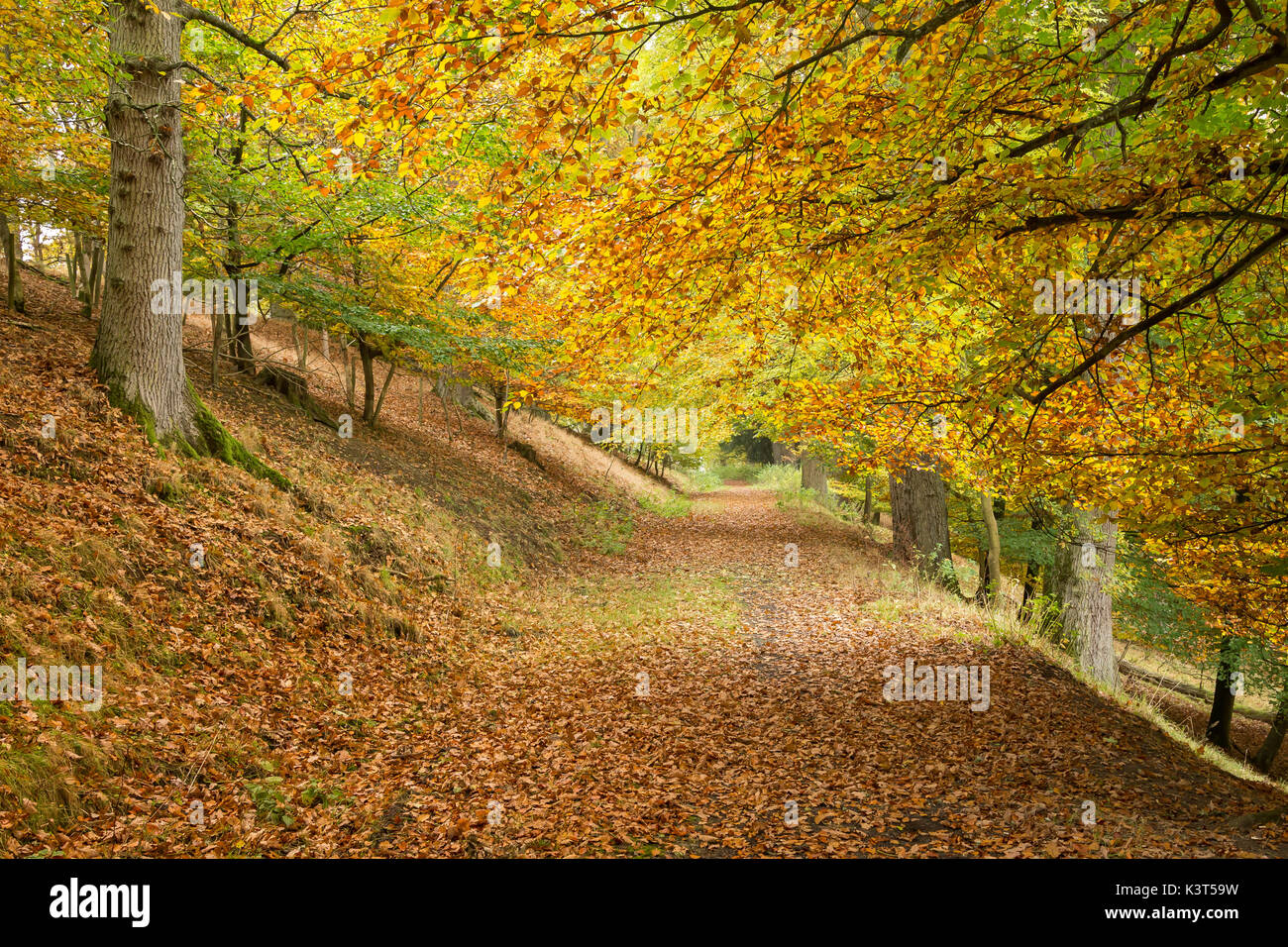 Gregynog Hall High Resolution Stock Photography and Images - Alamy