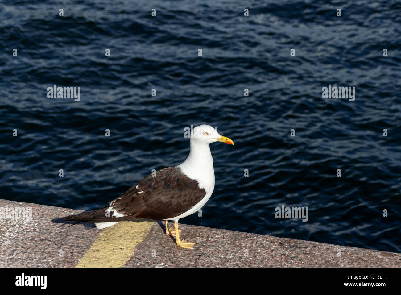 Stone parapet hi-res stock photography and images - Alamy