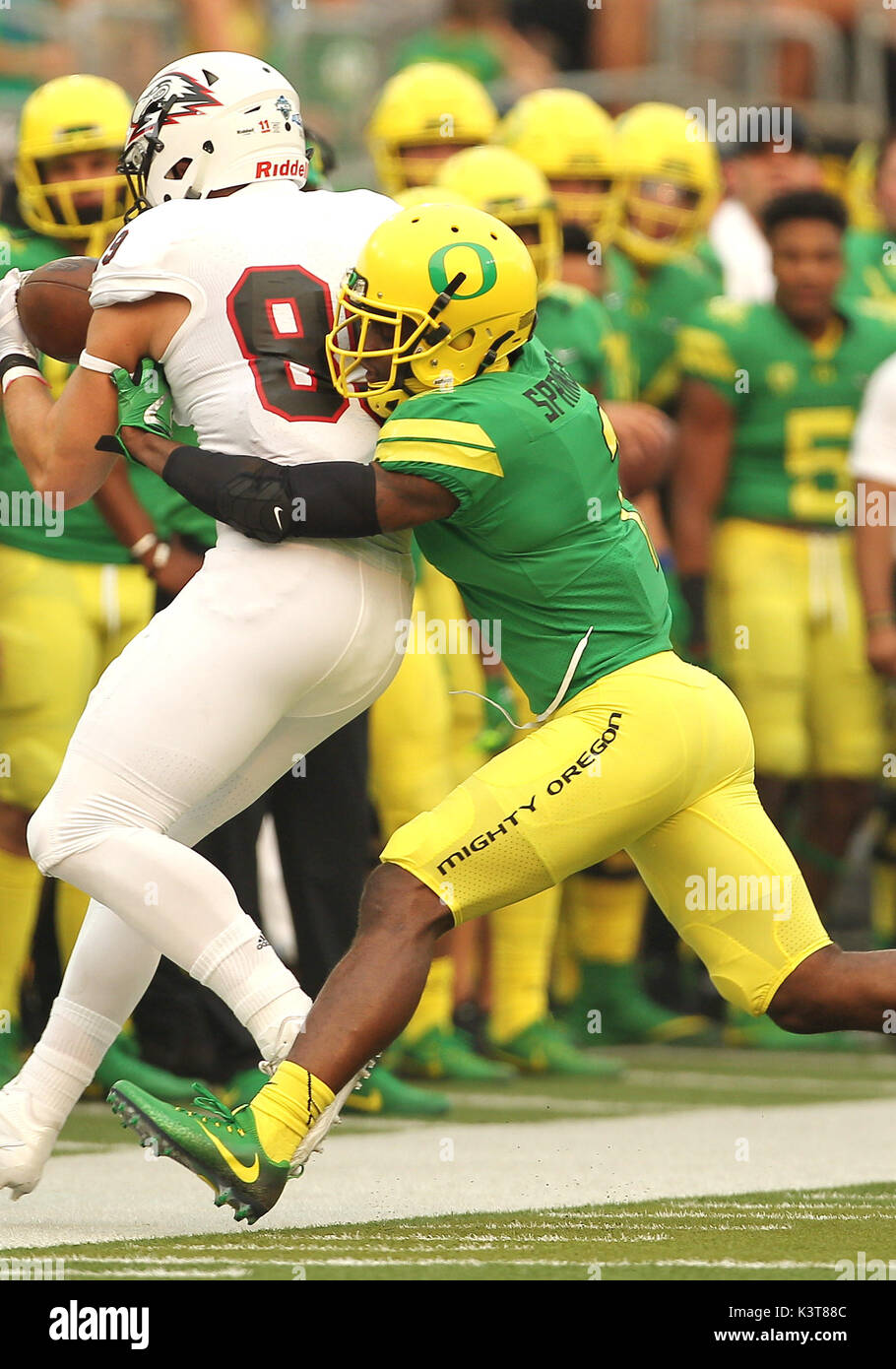 Arrion springs hi-res stock photography and images - Alamy