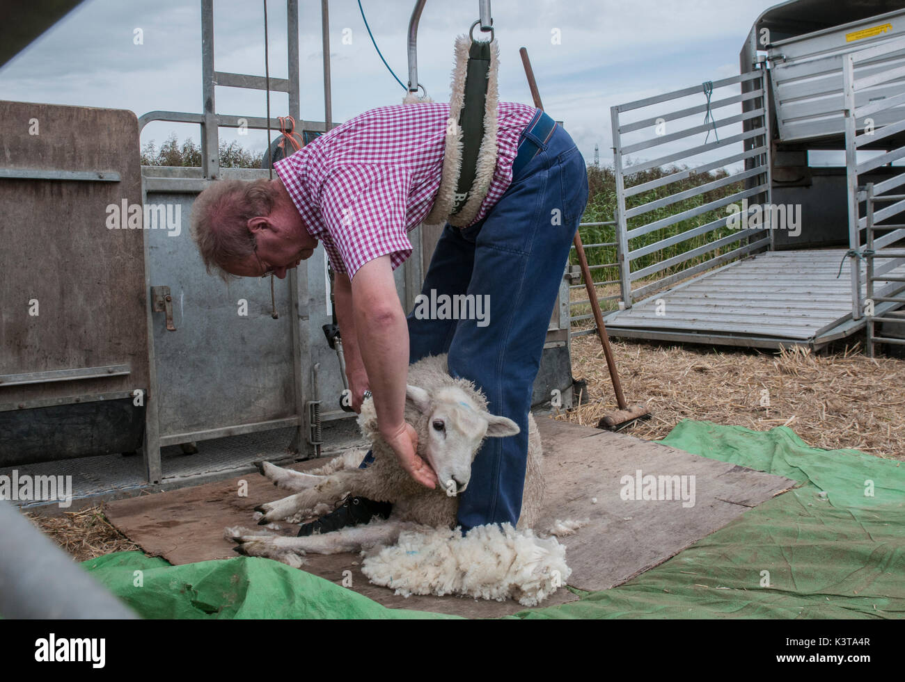 Kent Ditch Corner, East Guldeford, Romney Marsh, Kent, UK. 3rd Sep ...