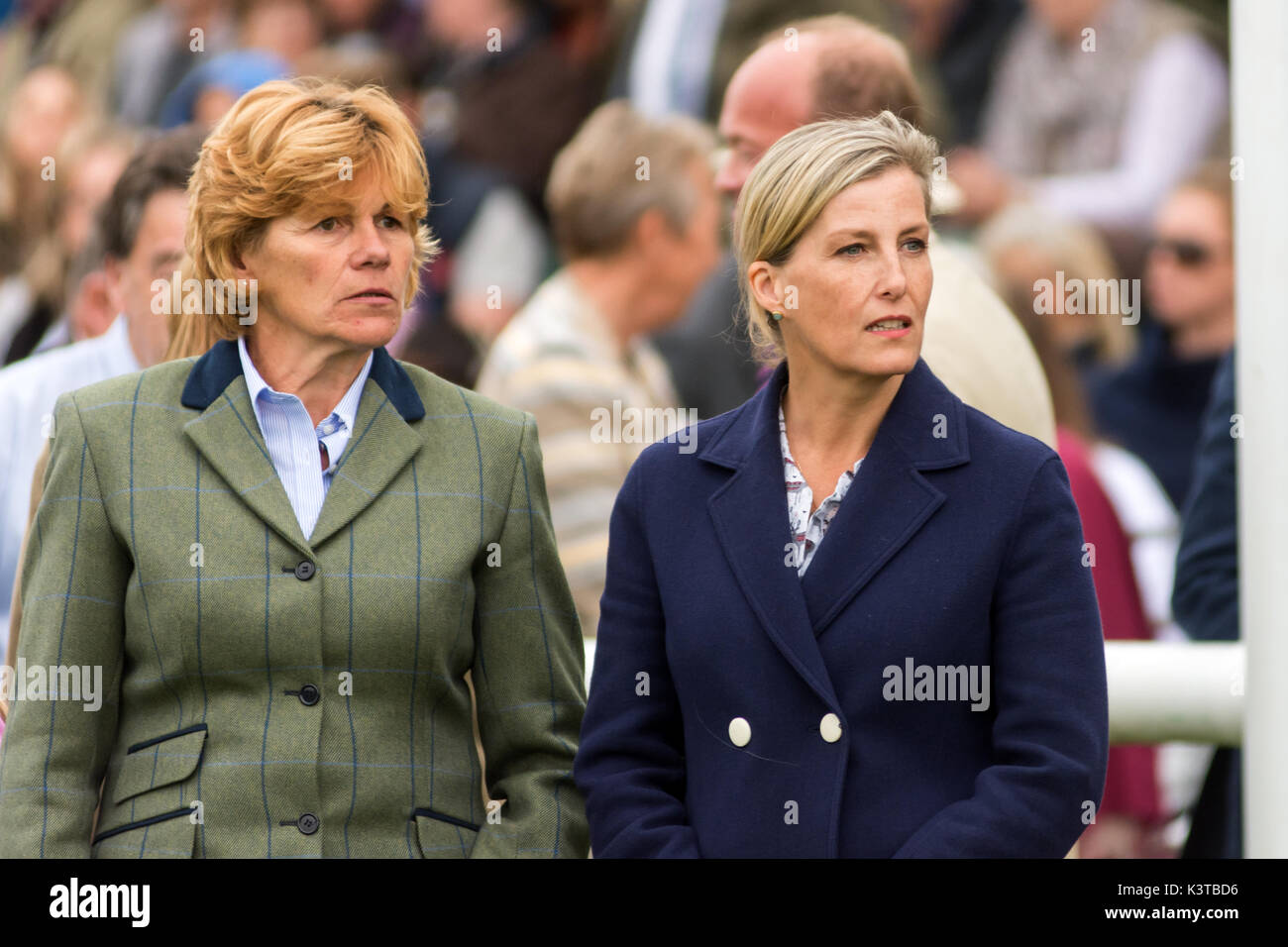 Huntsman cross hi-res stock photography and images - Alamy