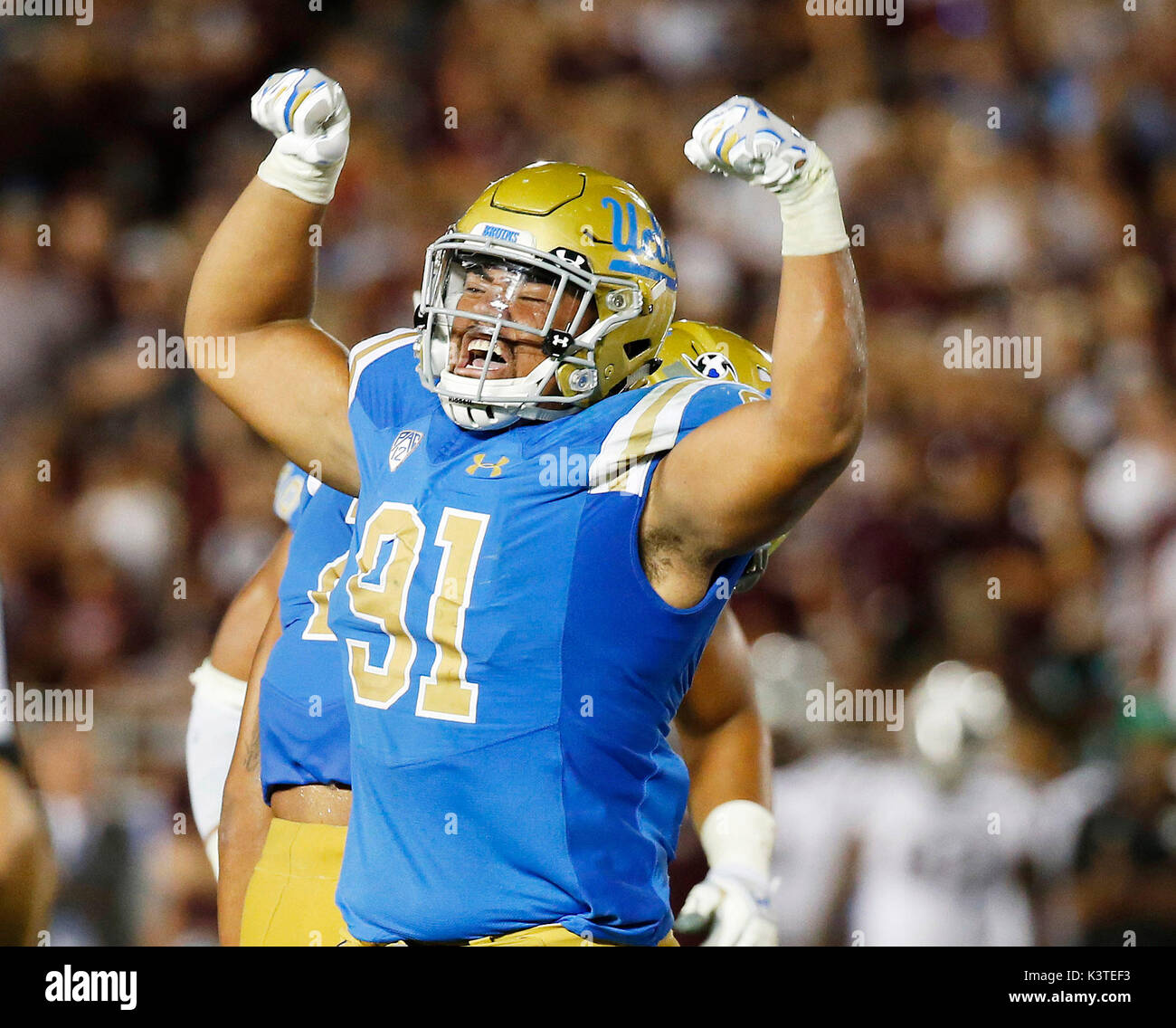 Tuioti hi-res stock photography and images - Alamy