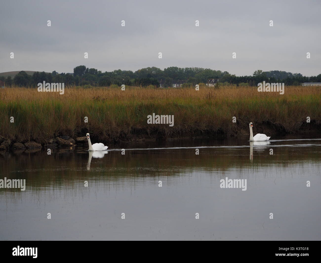 Sheerness lines hi-res stock photography and images - Alamy