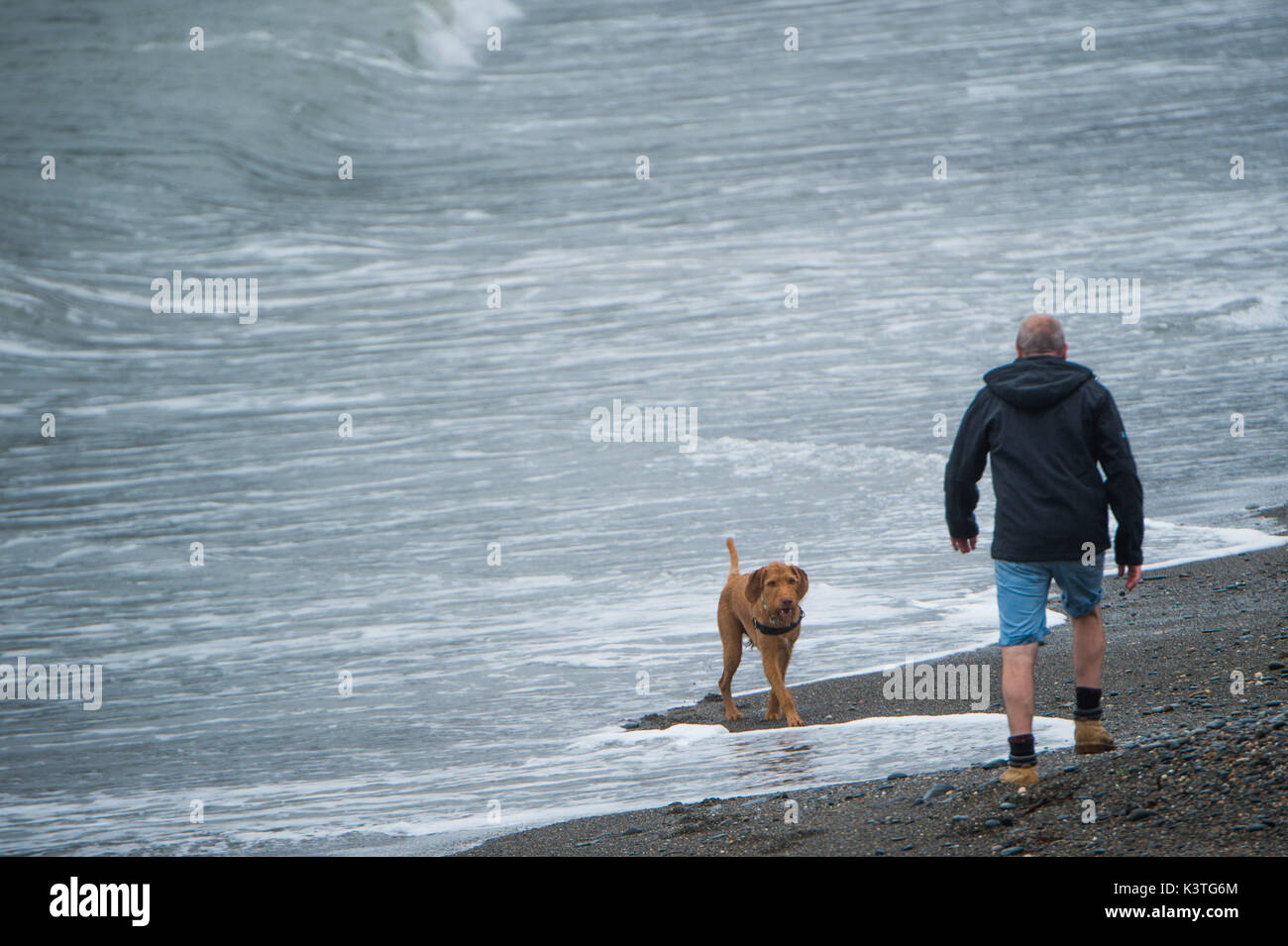 Wet dy hi-res stock photography and images - Alamy