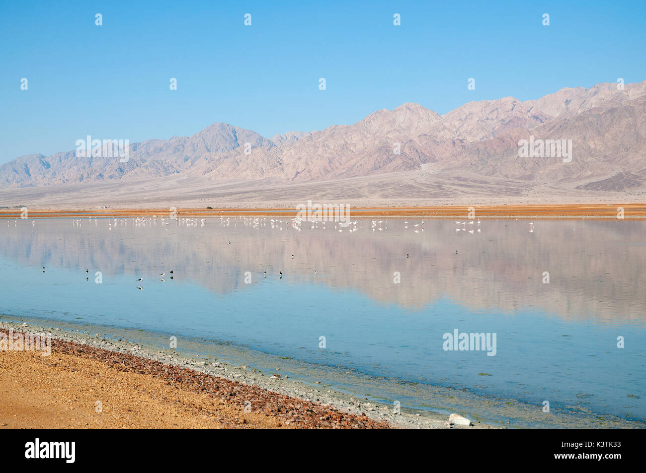 Evrona park hi-res stock photography and images - Alamy