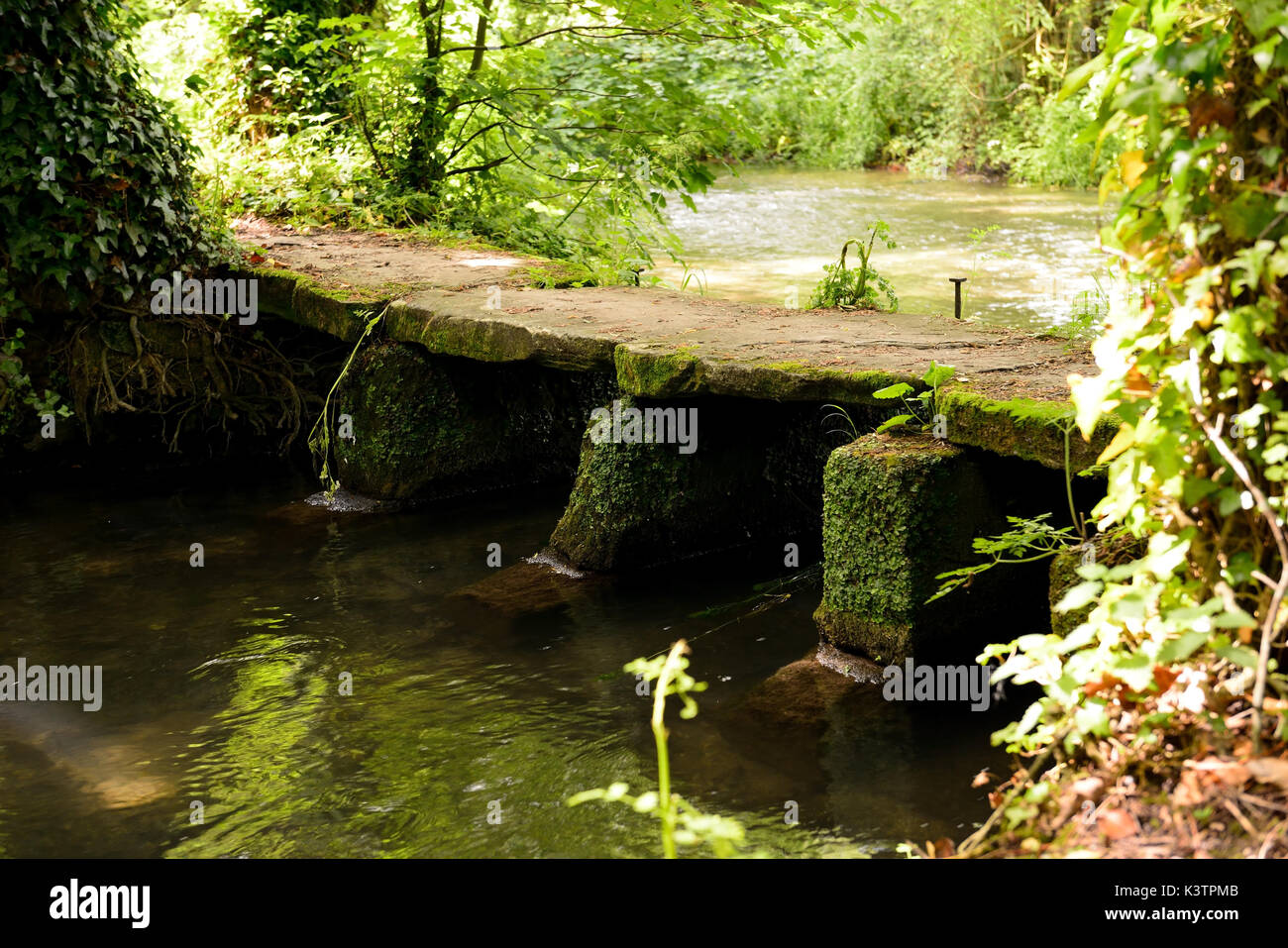 Ancient clapper bridge over the river Ebble in south Wiltshire Stock ...