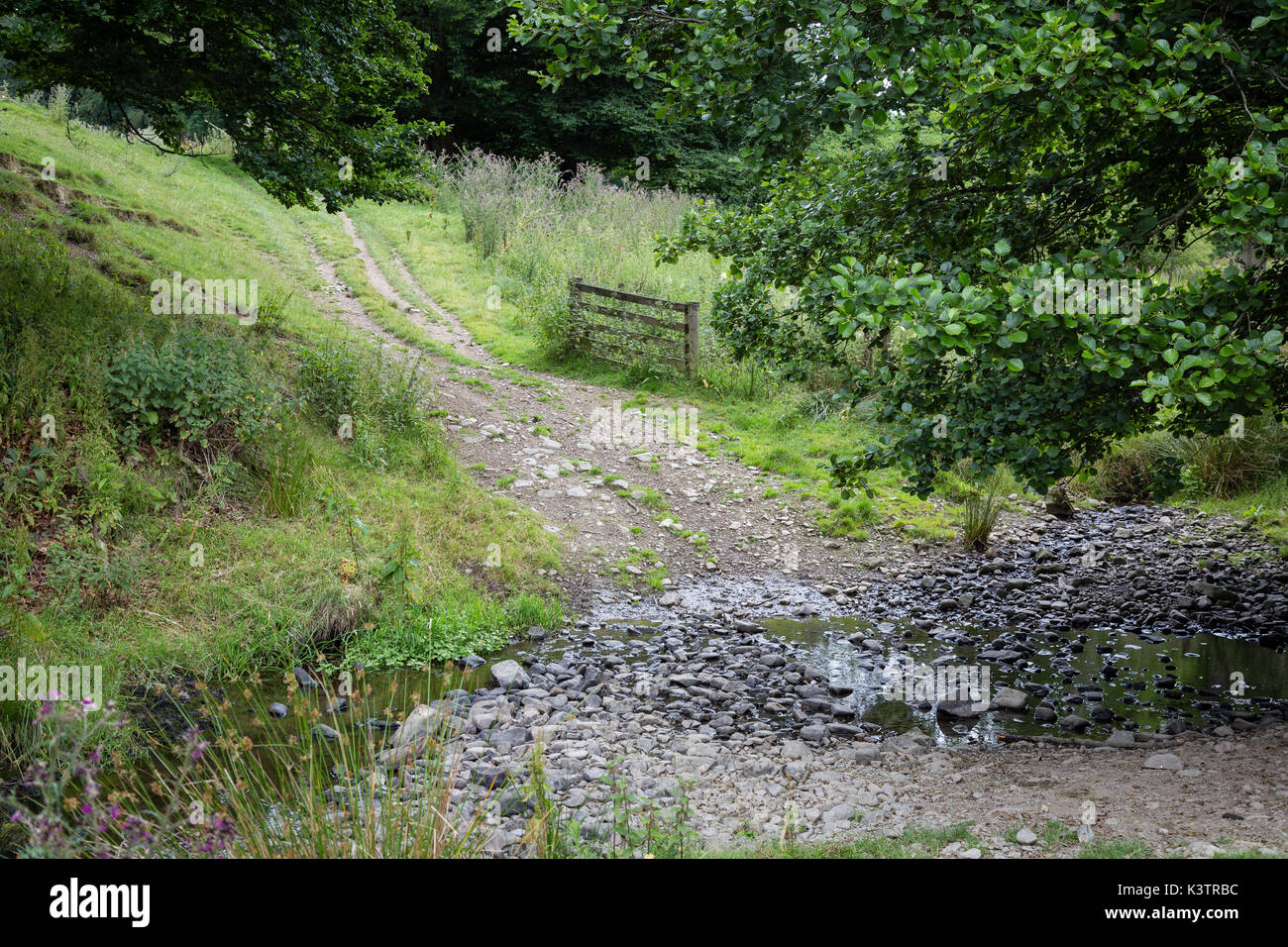 ford across a river Stock Photo - Alamy