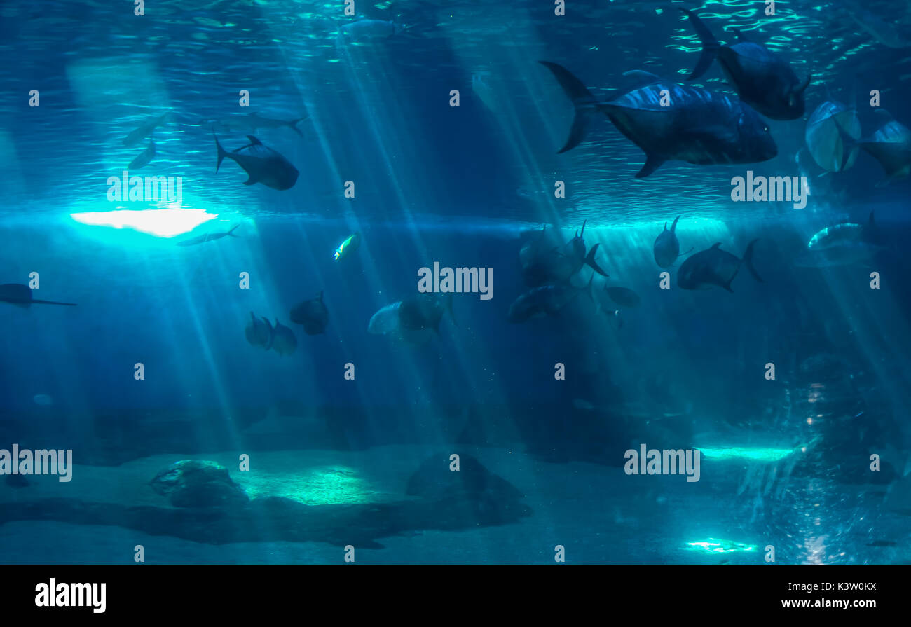 Light from above hi-res stock photography and images - Alamy