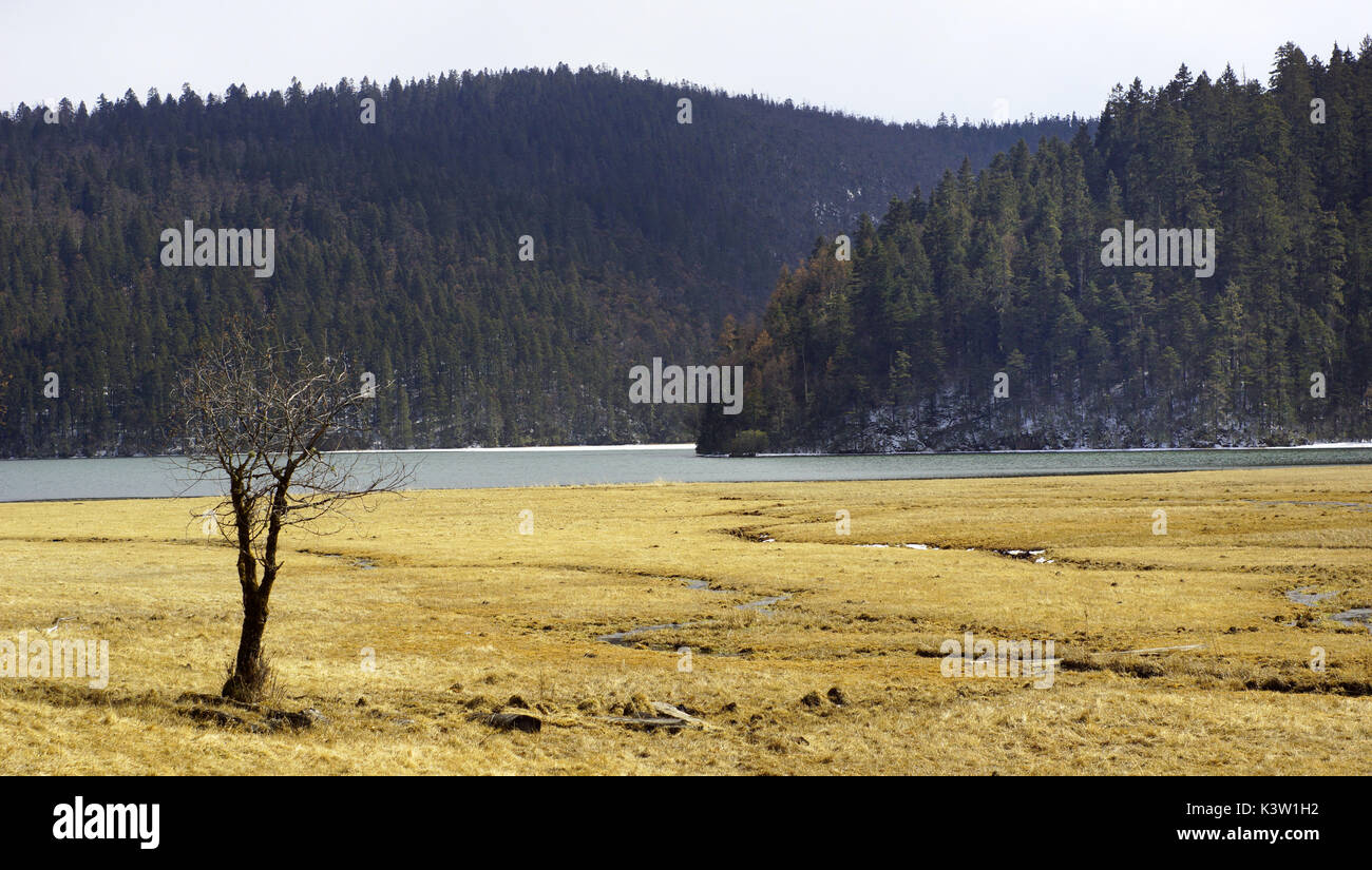 Potatso national park in Yunnan, China Stock Photo - Alamy