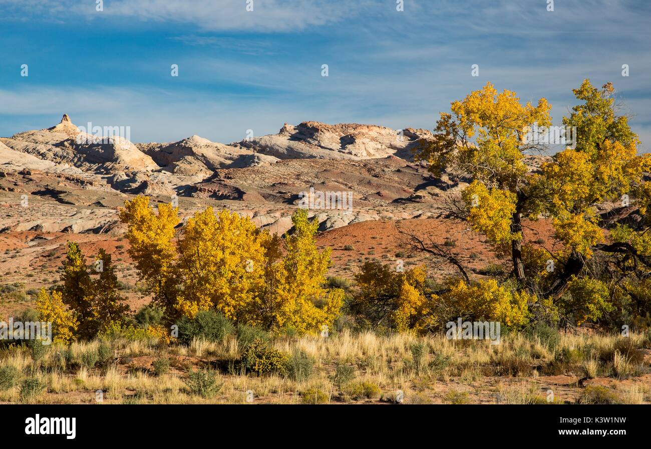 Sedimentary rocks form plateaus and canyons at the San Rafael Swell ...