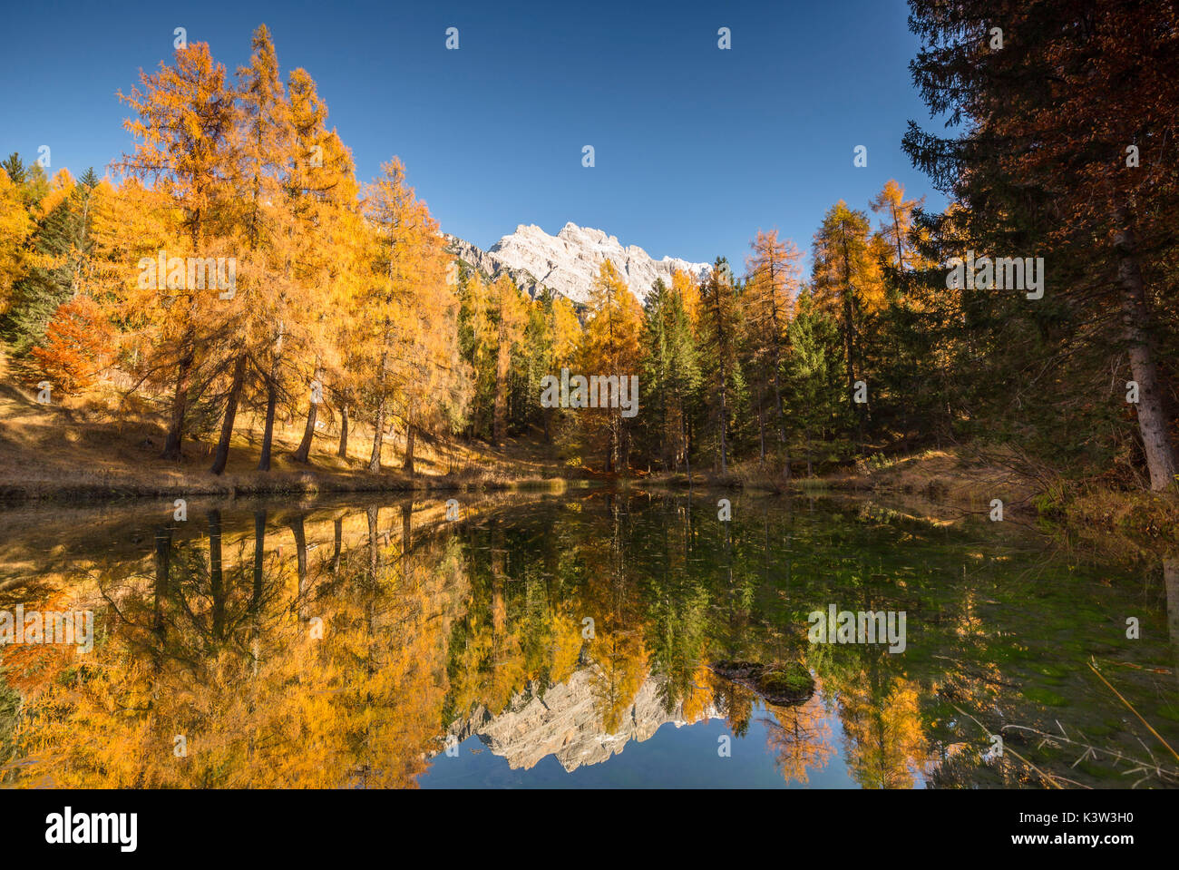 The mirror into the woods,Cortina d'Ampezzo,Belluno district,Veneto ...