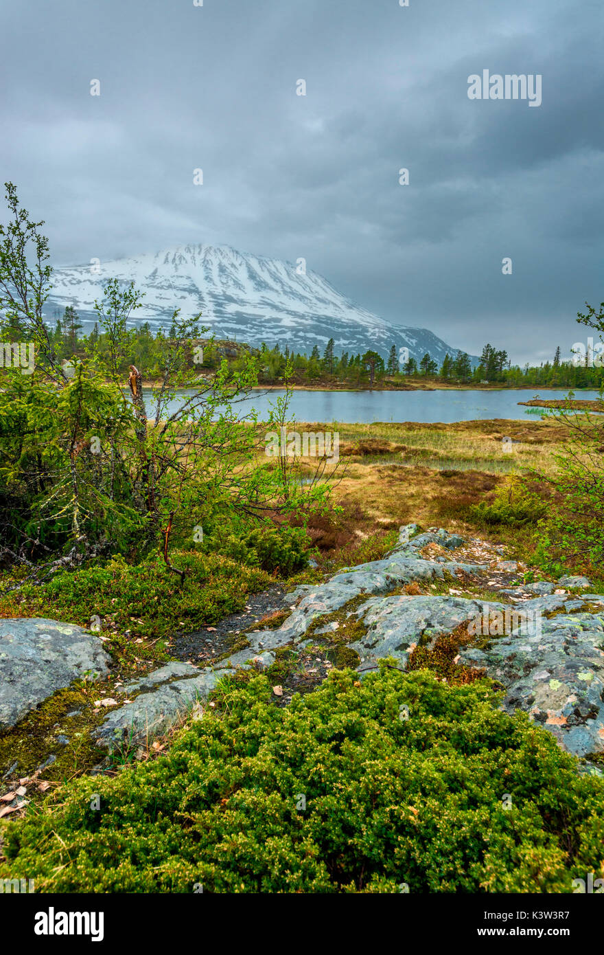Gaustatoppen hi-res stock photography and images - Alamy