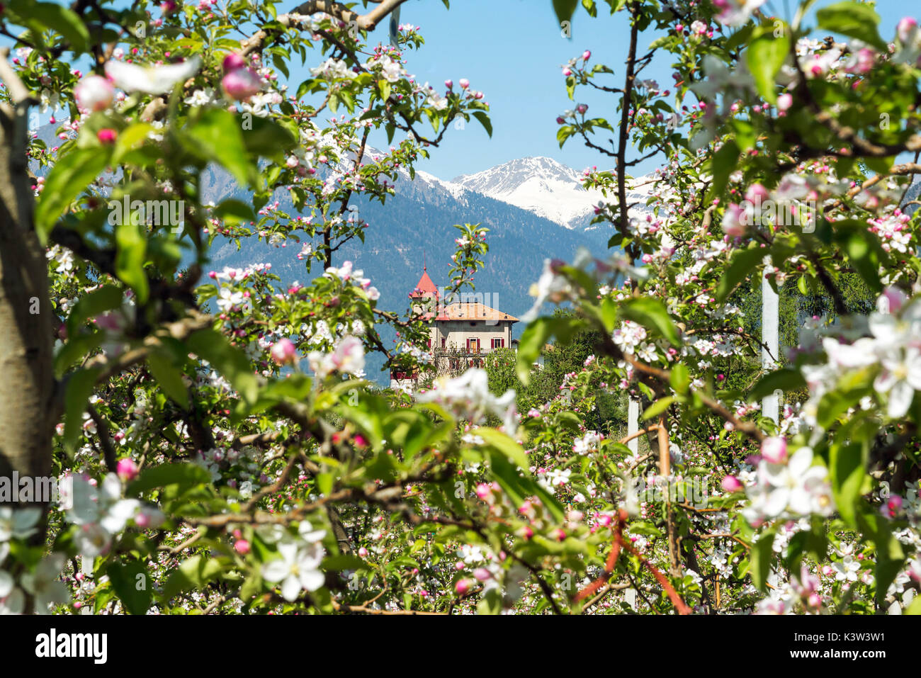 Casez castle of non valley hi-res stock photography and images - Alamy