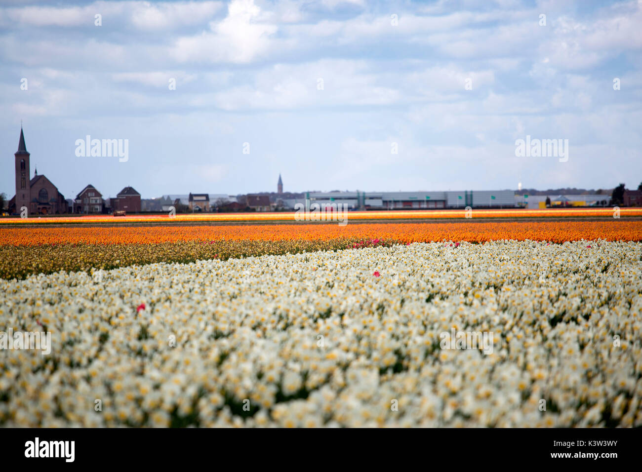 Lisse netherlands hi-res stock photography and images - Alamy