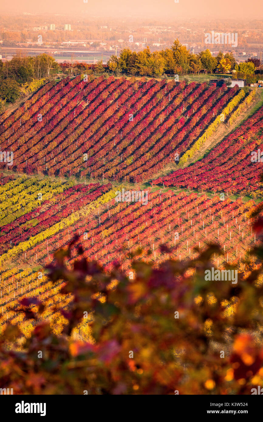 Castelvetro di modena hi-res stock photography and images - Alamy