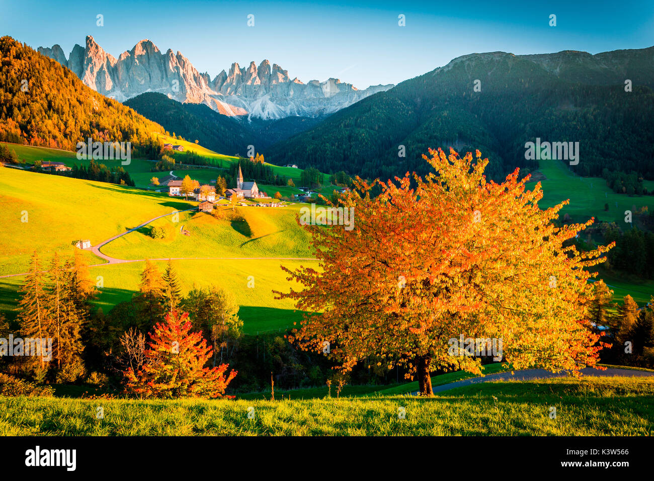 Autumn in the Alps, Funes Valley, Trentino Alto Adige, Italy. Mountain ...