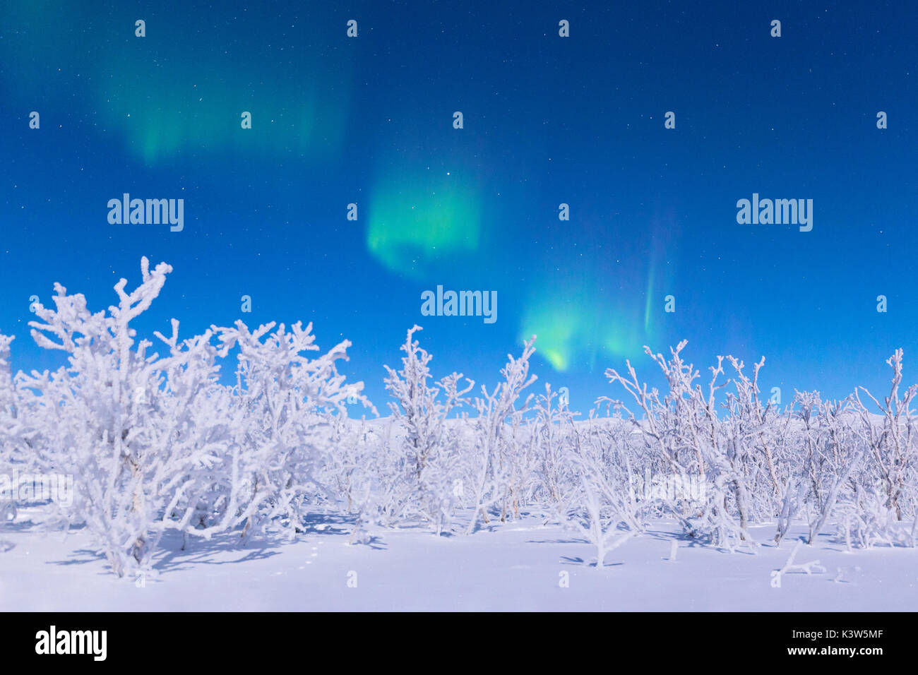 Lit by the full moon hi-res stock photography and images - Alamy