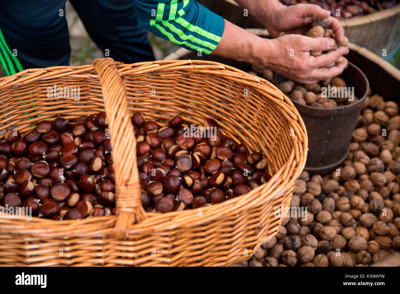 Chestnuts Italy High Resolution Stock Photography and Images - Alamy