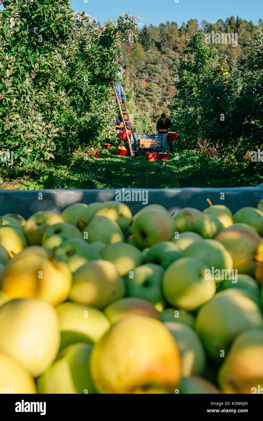 Group Of Farmers High Resolution Stock Photography and Images - Alamy