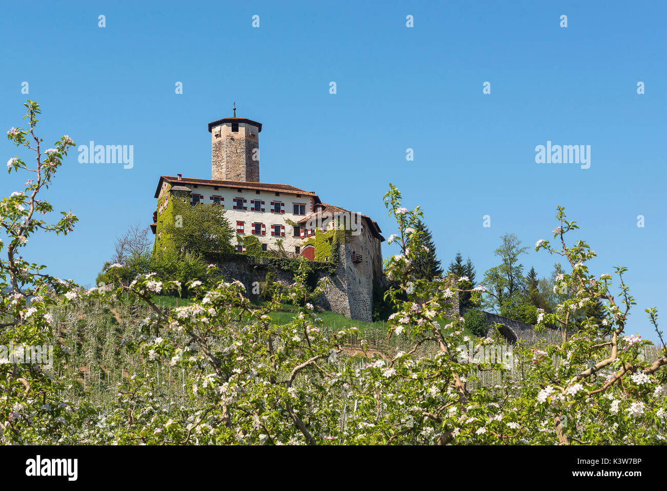 Apple flowering at valer castle hi-res stock photography and images - Alamy