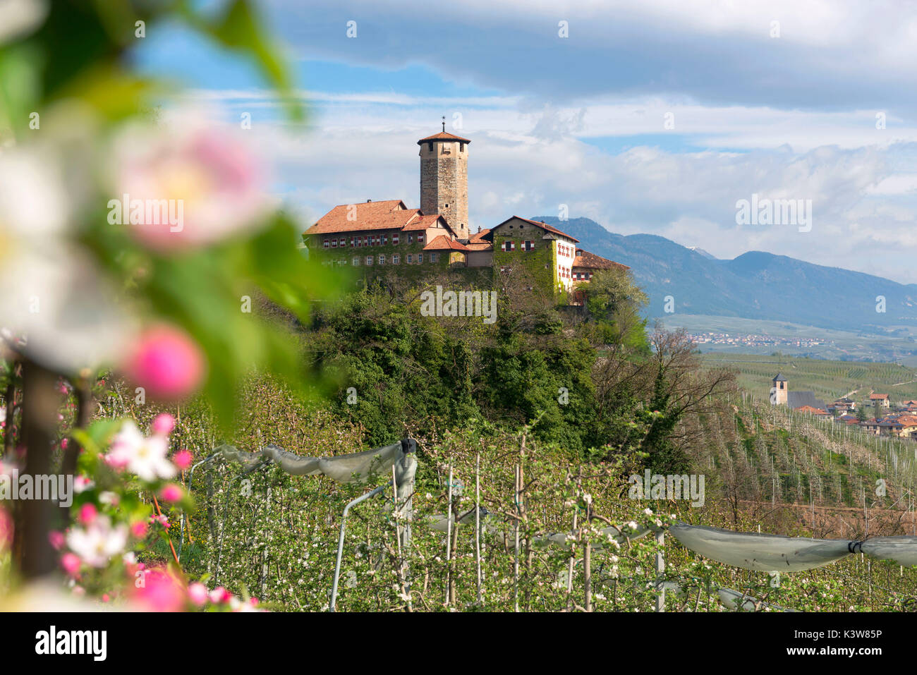 Apple blossom in valer castle hi-res stock photography and images - Alamy