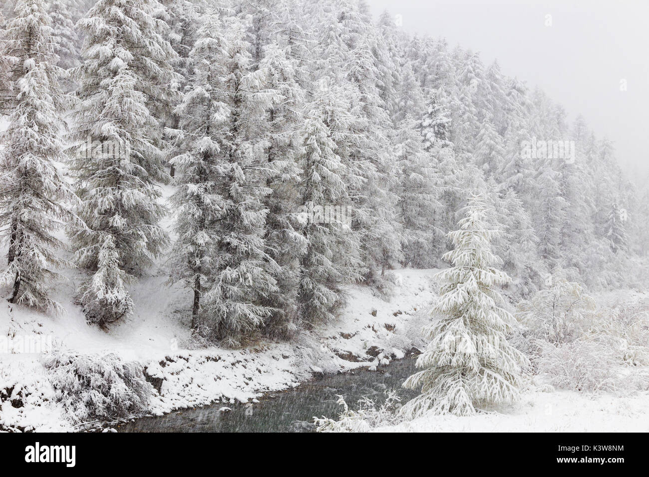Blizzard mountains hi-res stock photography and images - Alamy
