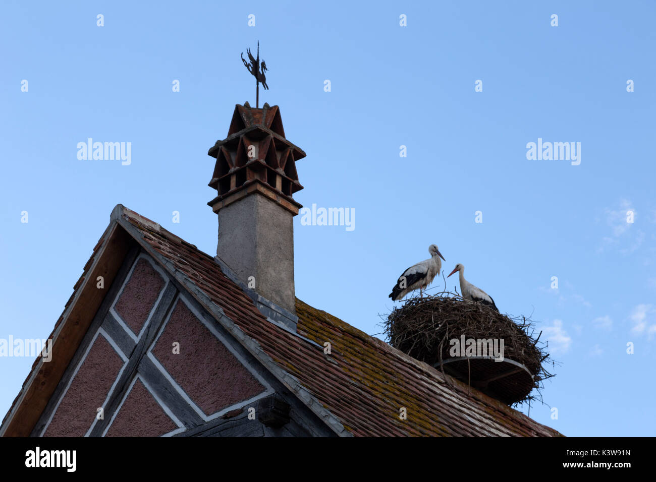 Stork nest alsace france hi-res stock photography and images - Alamy