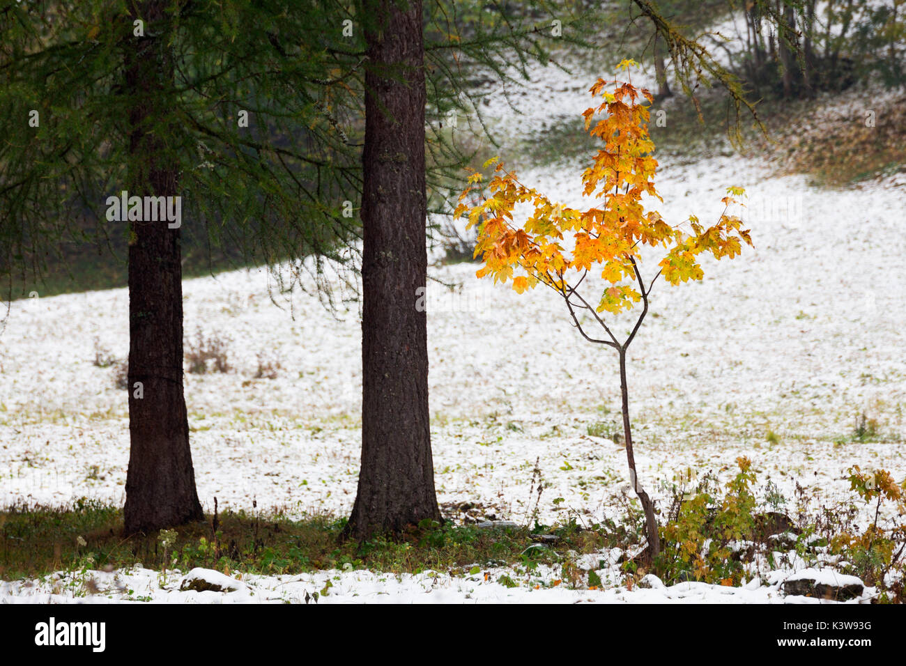 Piedmont mountains near turin hi-res stock photography and images - Alamy