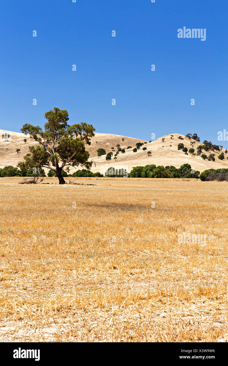 Pyrenees landscape in the Pyrenees Region of Victoria Australia Stock ...