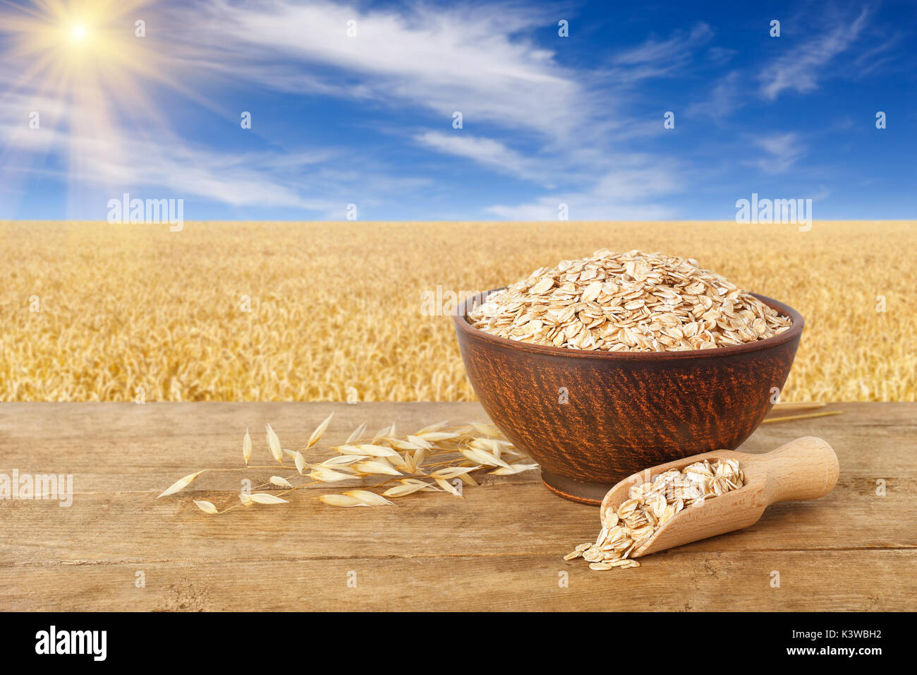 oatmeal in bowl on nature background Stock Photo - Alamy