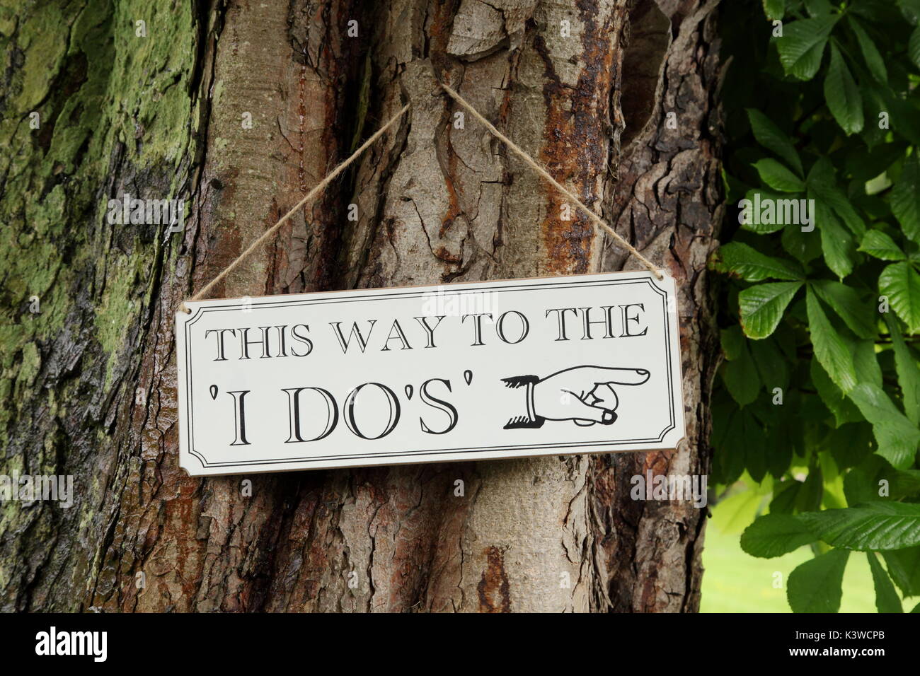 A sign hanging on a tree pointing to a wedding ceremony - the I do's ...