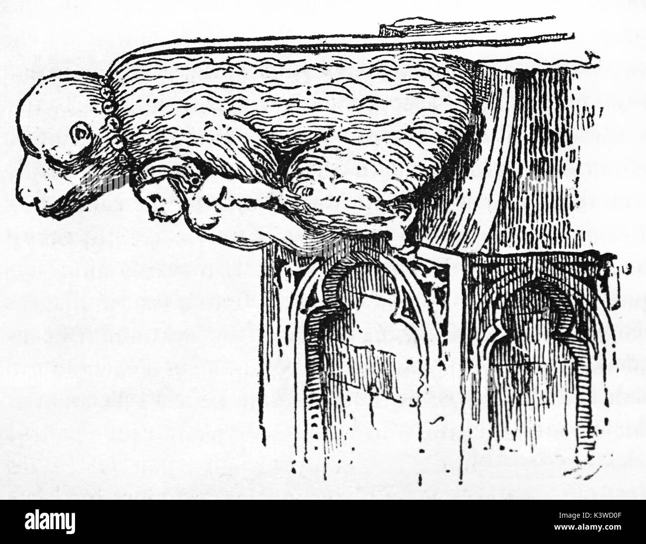 Old illustration of monkey shaped gargoyle in Barcelona cathedral. By ...