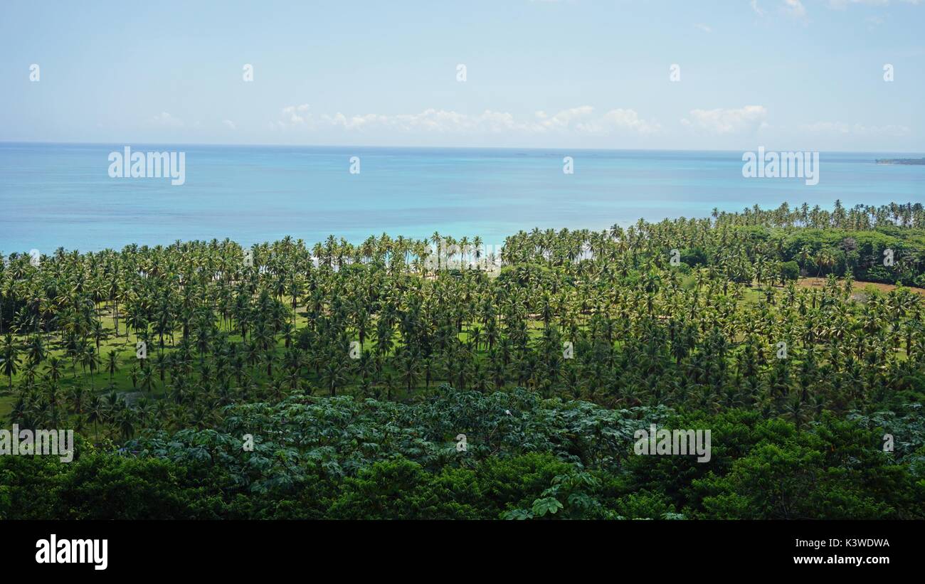 amazing tropical landscape in the dominican republic Stock Photo - Alamy