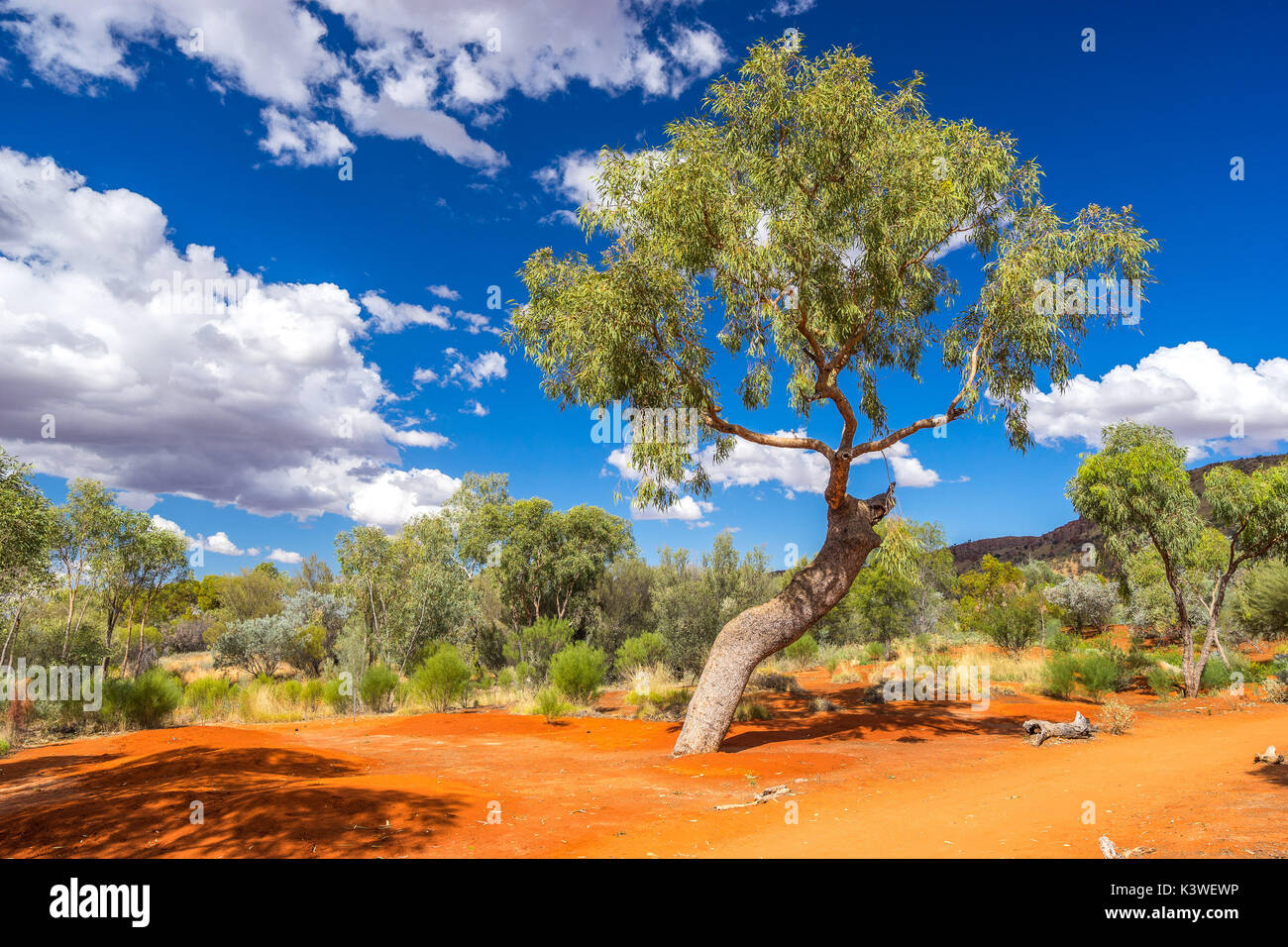 Central australia landscape hi-res stock photography and images - Alamy