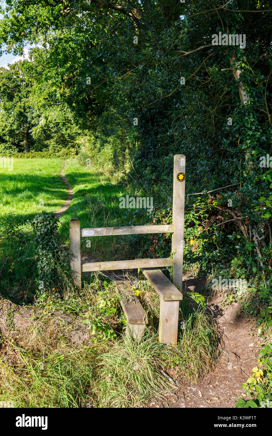 Typical wooden stile on a public footpath over a field in Bisley, a ...