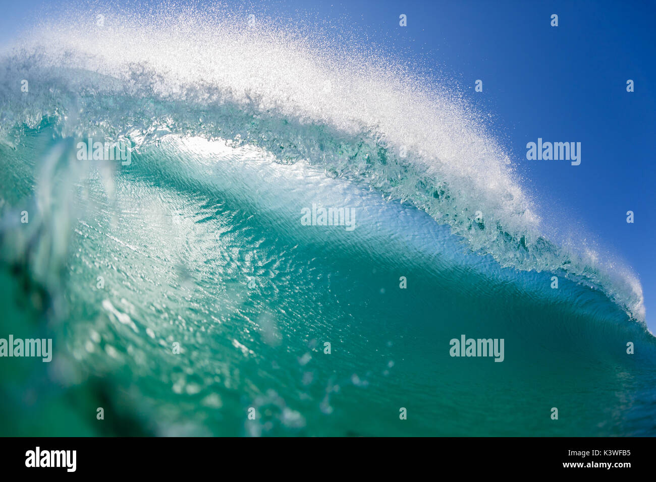 Ocean wave crashing wall of water swimming face to face confrontation ...