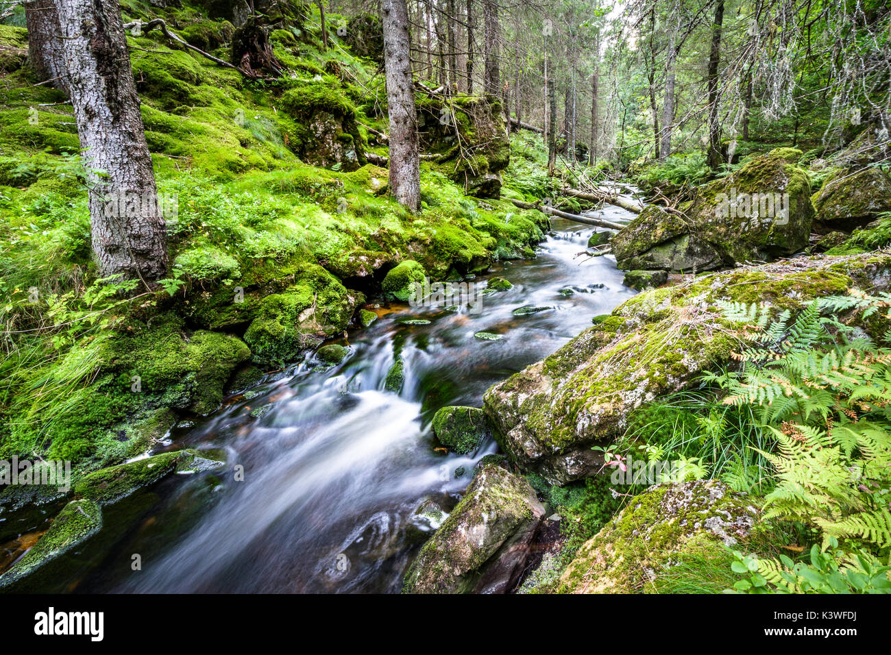 Water flow in a stream, long exposure Stock Photo - Alamy