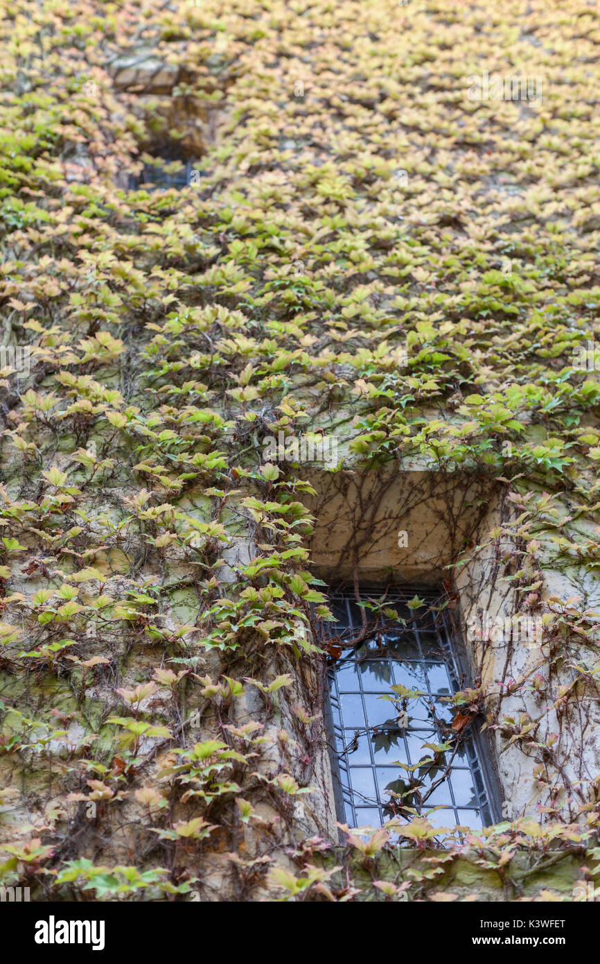 Water maze hever castle hi-res stock photography and images - Alamy