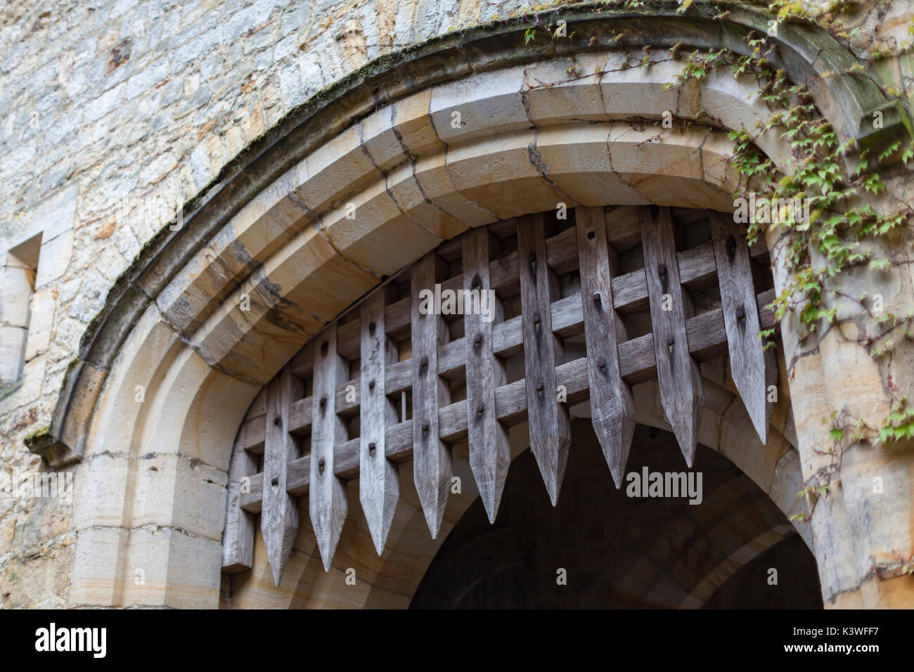 Castle dating from 1270, with Tudor artworks and lavish furnishings ...