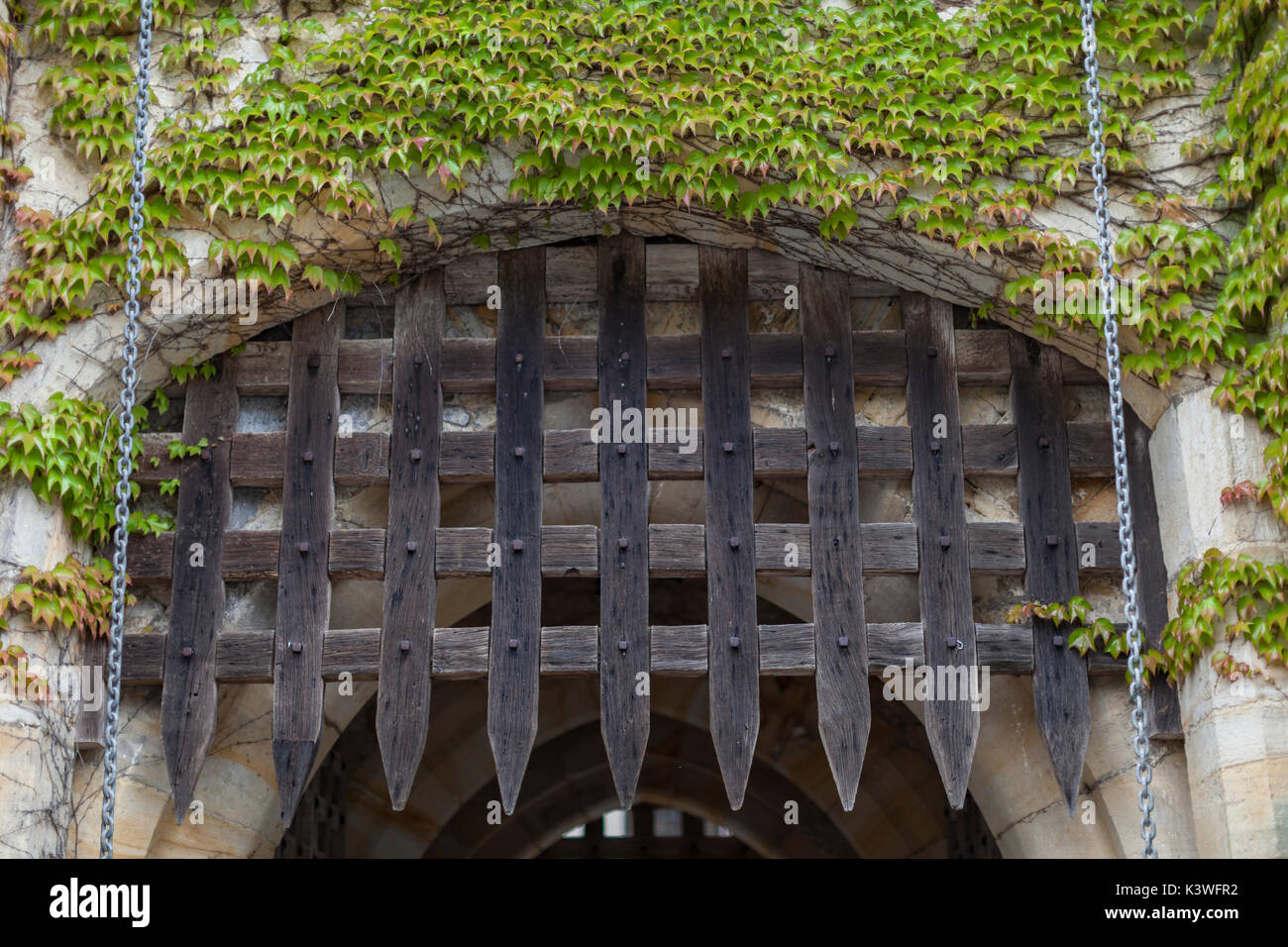 Castle dating from 1270, with Tudor artworks and lavish furnishings ...
